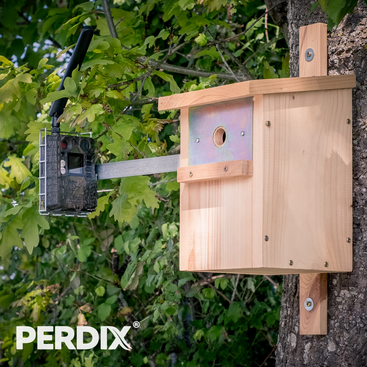 Nest Camera Bracket — Perdix Wildlife Supplies