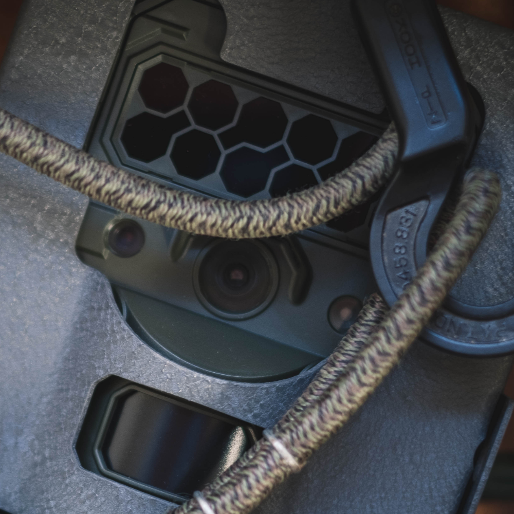 Reconyx Camera Traps - Perdix Wildlife Supplies