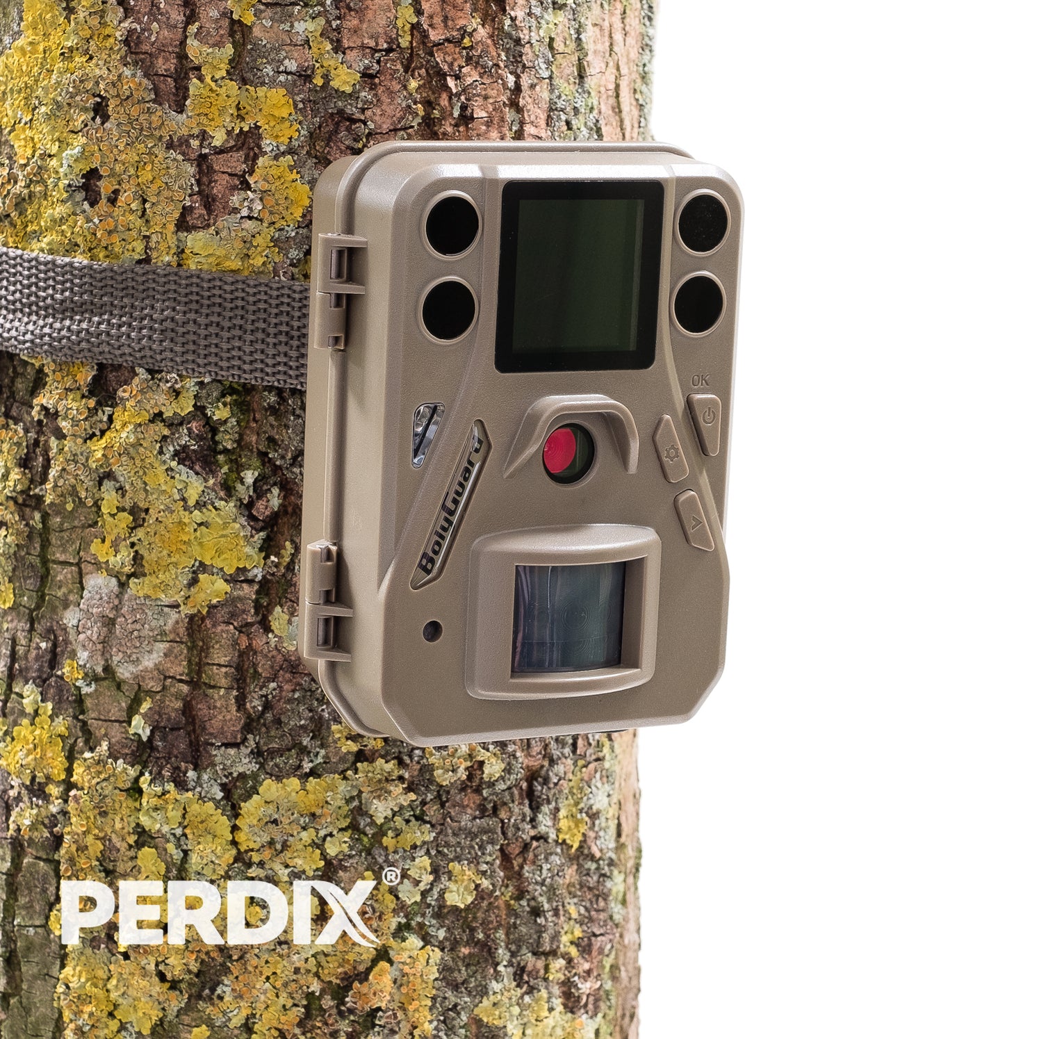All Models & Makes of Camera Traps UK - Perdix Wildlife Supplies