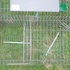 PERDIX Larsen Trap for Crows & Magpies — Perdix Wildlife Supplies