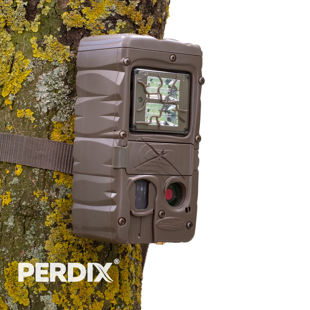 Cuddeback Double Barrel Strobe Trail Camera — Perdix Wildlife Supplies