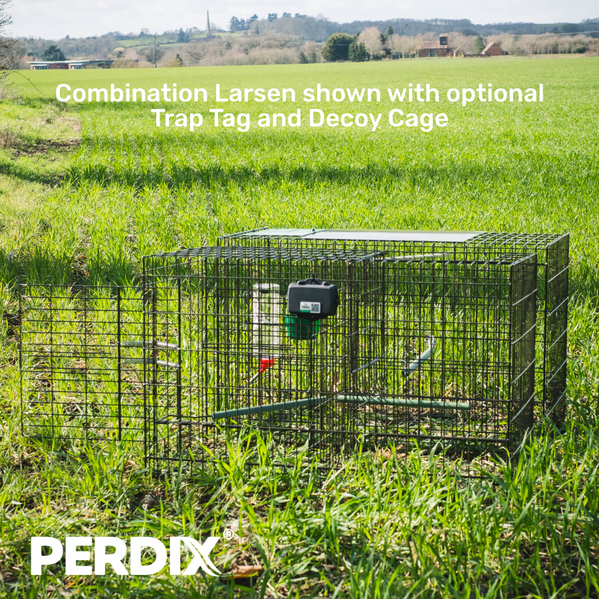 PERDIX Larsen Trap for Crows & Magpies — Perdix Wildlife Supplies