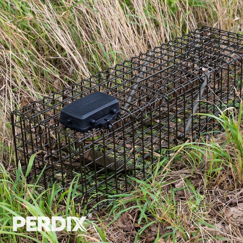 Perdix Wildlife Supplies - 2G PerdixPro Remote Monitoring Trap Tag