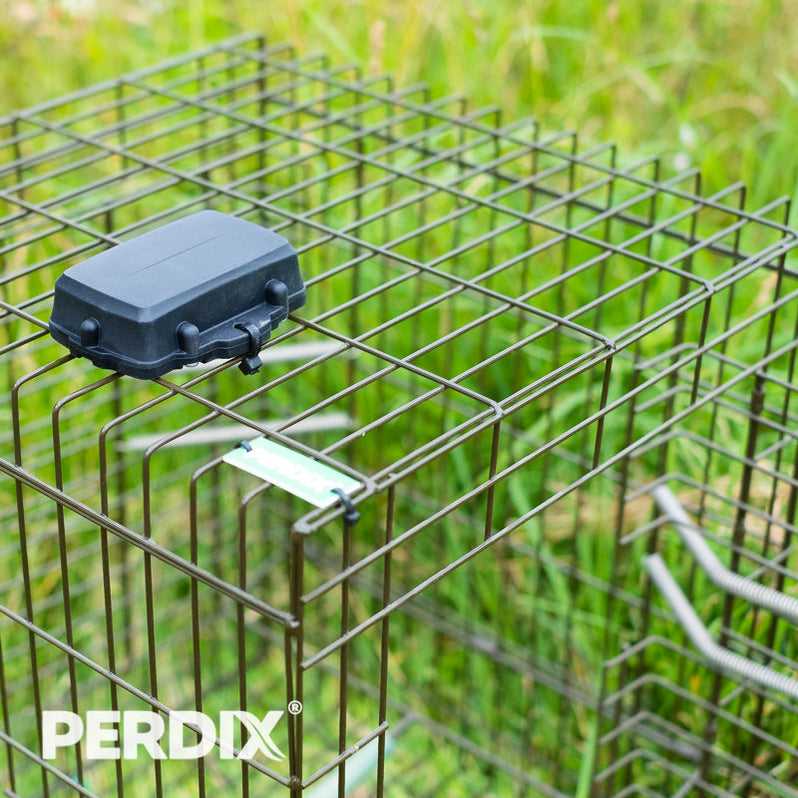 Perdix Wildlife Supplies - 4G PERDIXPro Remote Monitoring Trap Tag