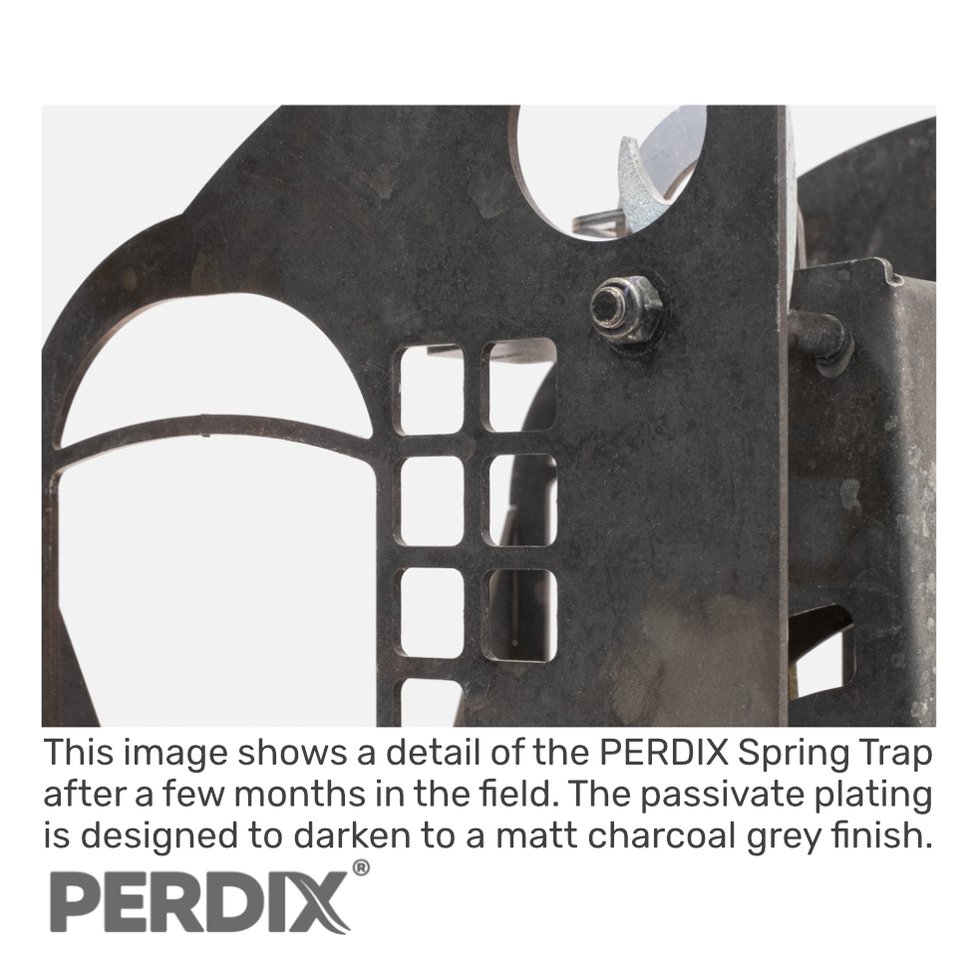 PERDIX Spring Trap — Perdix Wildlife Supplies