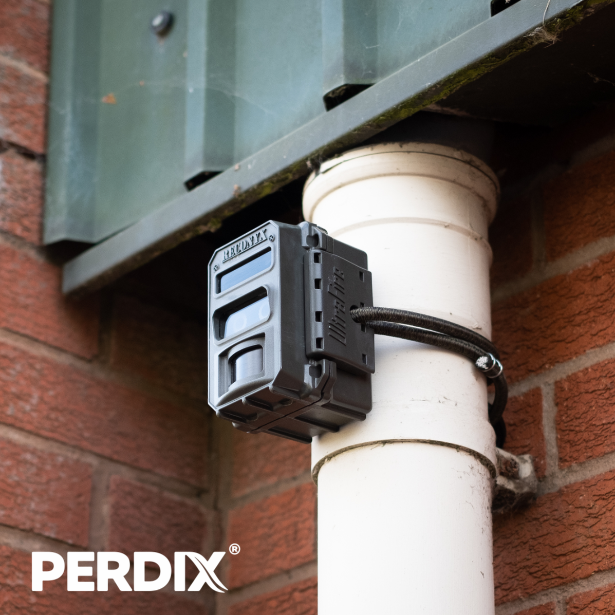 Reconyx XP9 Ultrafire Professional White Flash Camera Trap — Perdix ...